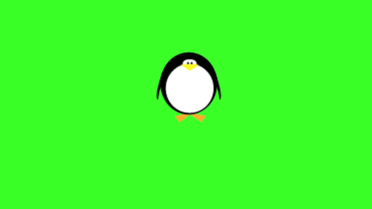 Penguin Greenscreen Footage — Free Stock Footage Archive