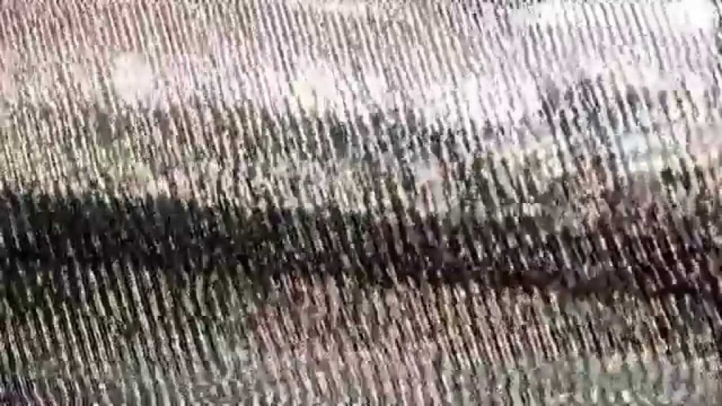 Dark Particle Sphere Glitch Effect Loop - Background / Overlay