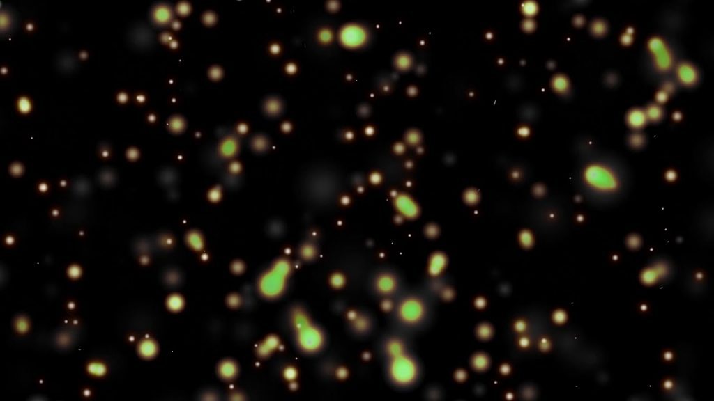 Creepy Red Particles - Horror Background / Overlay — Free Stock Footage ...