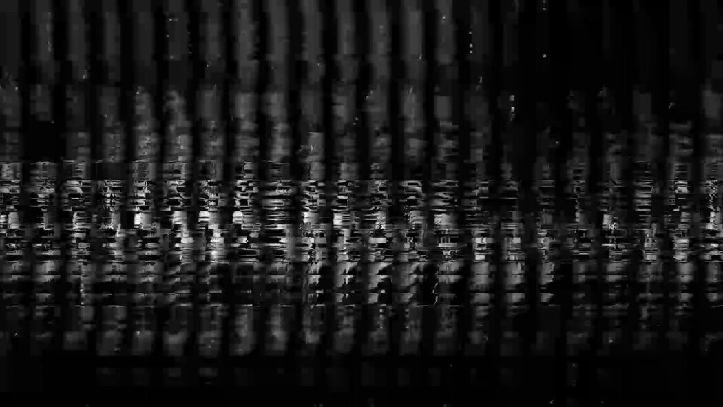 Creepy trees and dark sky - Horror Footage