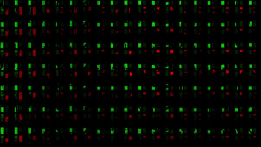 RGB Glitch Noise - Split - Effect Background — Free Stock Footage Archive