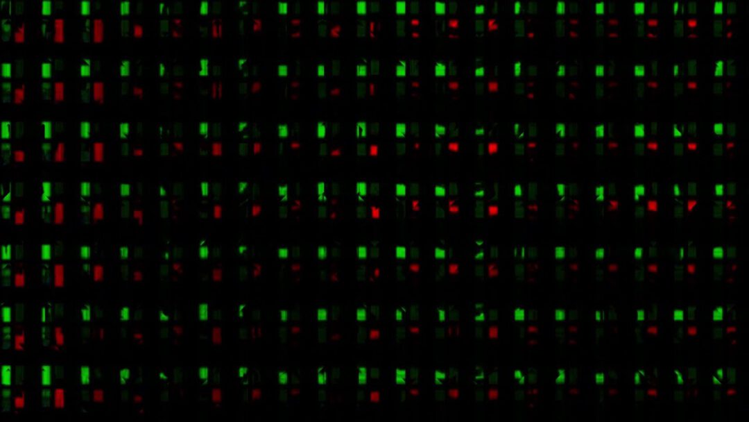 Color Split - Vertical Stripes - Glitch Effect Loop