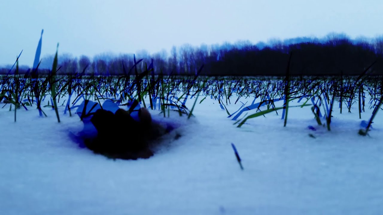 Creepy Snow Landscape - Optical Error - Horror Loop — Free Stock ...