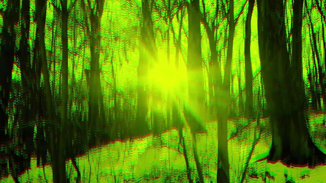 Creepy Lofi Trees - Glitchy Horror Forest Loop — Free Stock Footage Archive