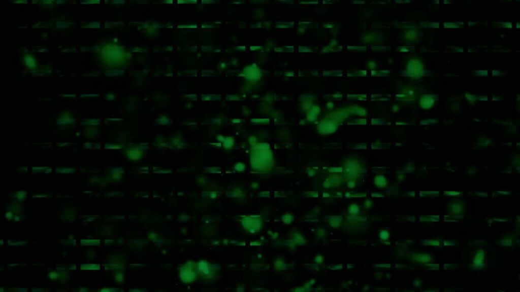 Digital Defect Static TV - Monitor Screen Loop