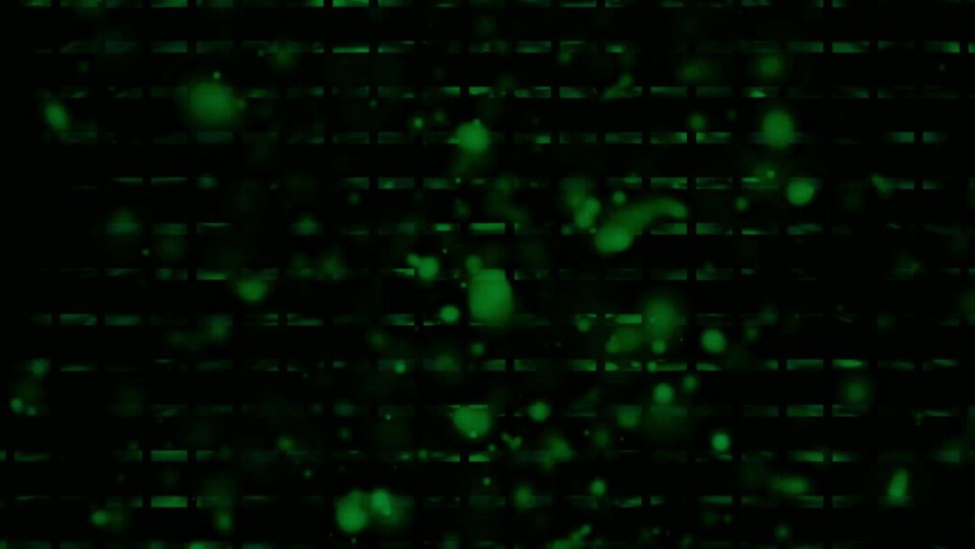 Scary Night Electricity Pylons - Dark Horror Footage