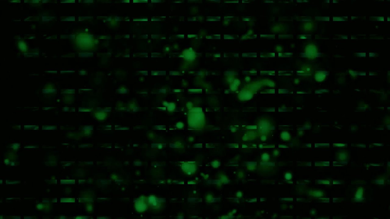 Category: Horror | Free Stock Footage Archive