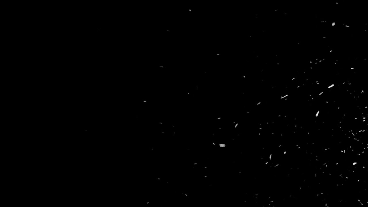 Real Falling Snow Particles - Winter Footage — Free Stock Footage Archive