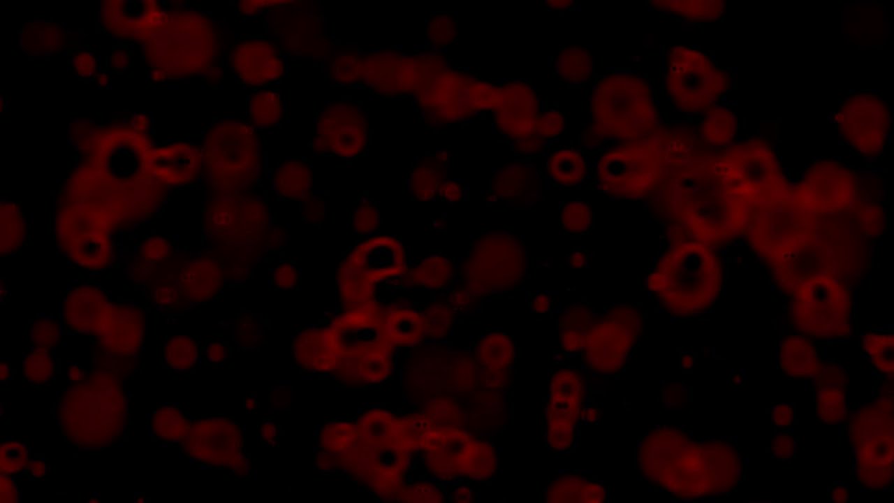 Category: Horror | Free Stock Footage Archive