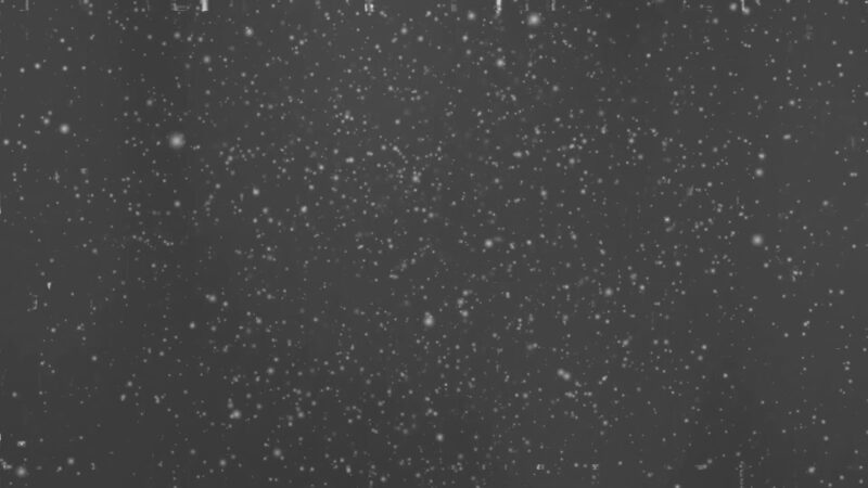 Category: Horror | Free Stock Footage Archive