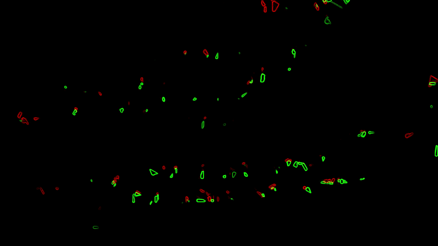 Glitch Effect Butterfly | Free Stock Footage Archive