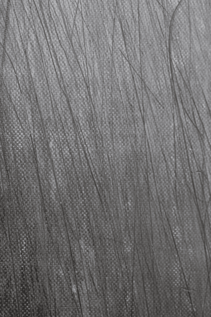 Scratches on Rubber - Free Textures Pack | 30 Images — Free Stock ...