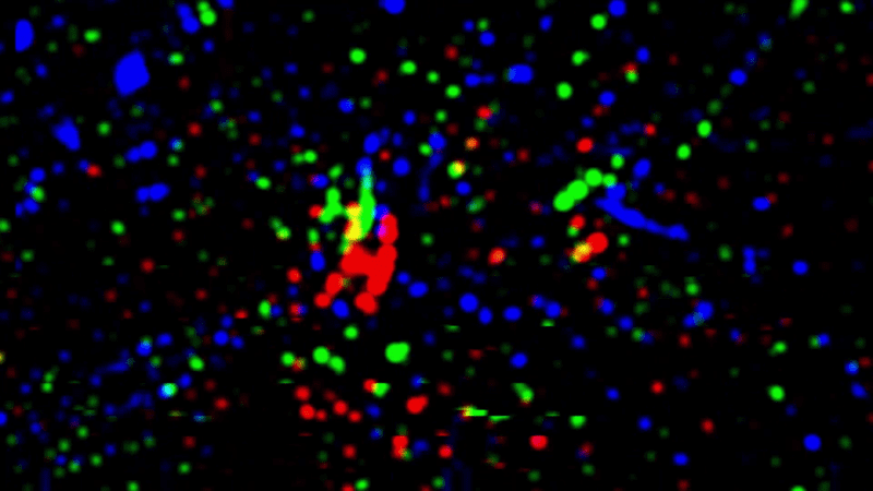 Glitch Taser - Waveform - Effect Loop Element