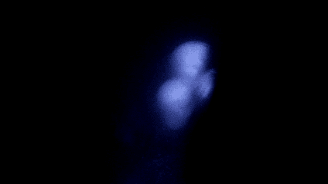 Creepy Overlay Light - Demonic Effect Loop — Free Stock Footage Archive