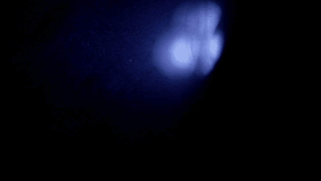 Iris Particles - Dark Effect Layer Loop — Free Stock Footage Archive