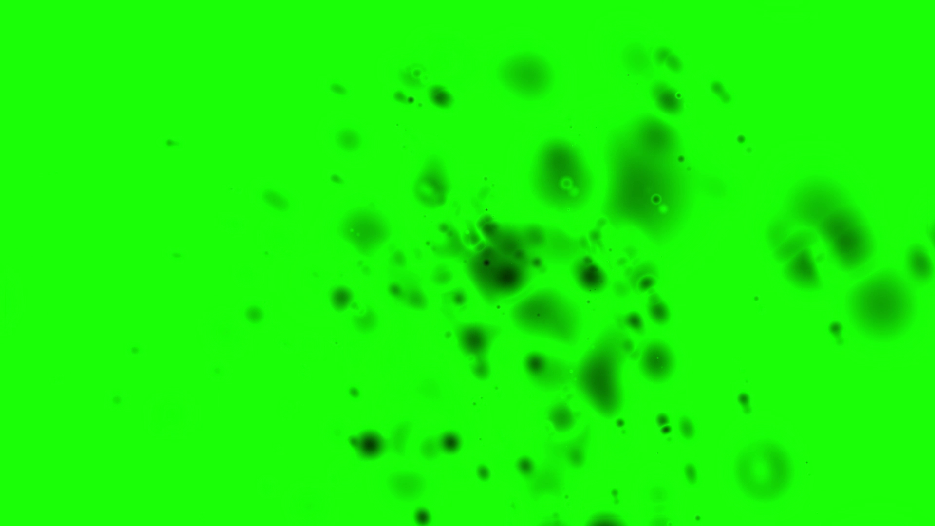 Strange Blurred Green Screen Particles - Overlay Loop — Free Stock ...