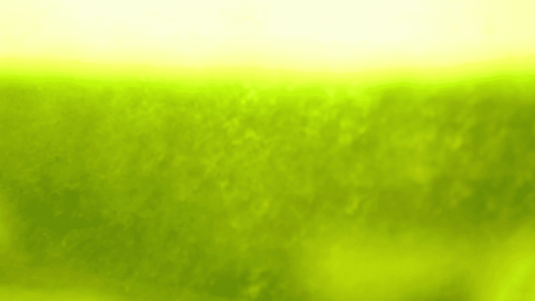 Split-Screen Glitch - VFX - Overlay / Background Loop — Free Stock ...