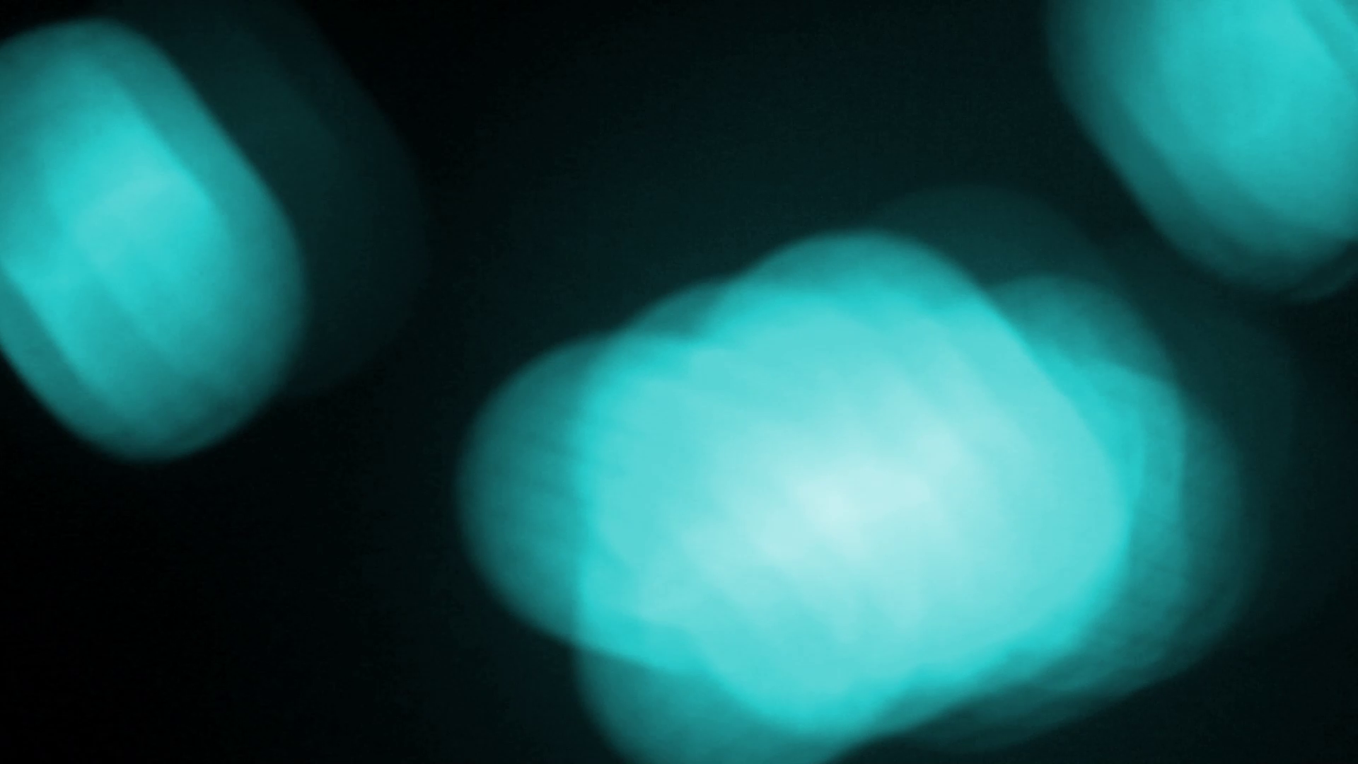 Blue Blinking Blurred Lights - FX Loop — Free Stock Footage Archive