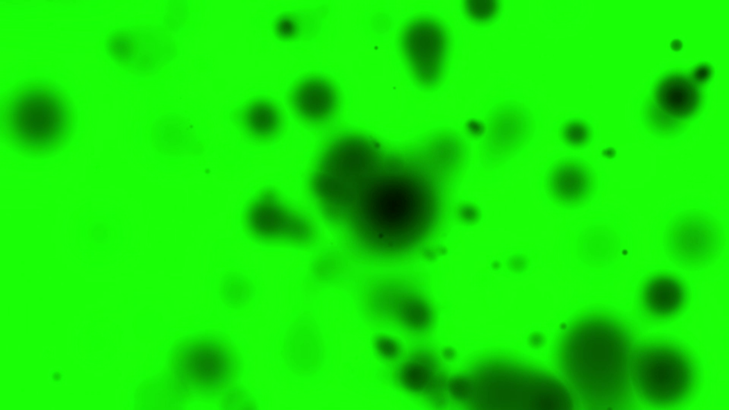 Free Green Screen Videos - Free Stock Footage Archive (+999)