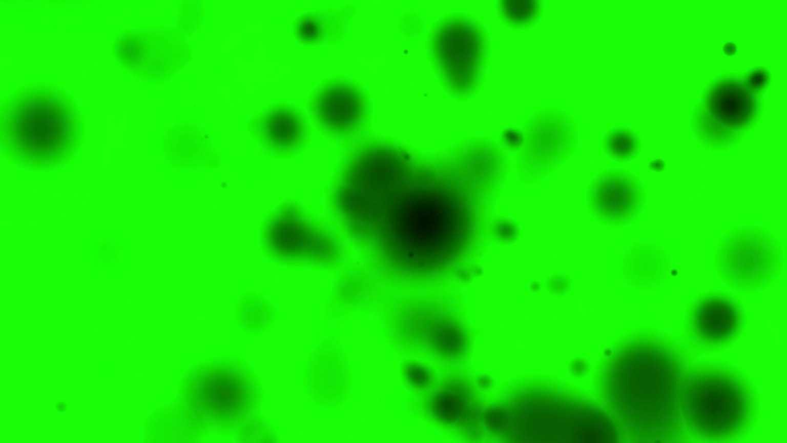 Free Green Screen Videos - Free Stock Footage Archive (+999)