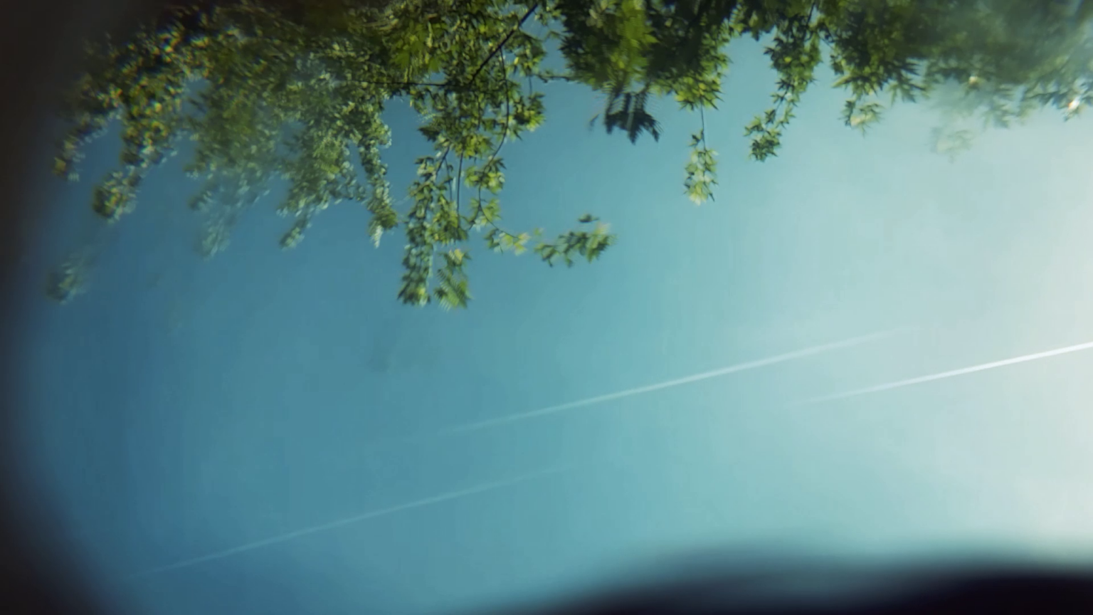 Nature Archive — Free Stock Footage Archive