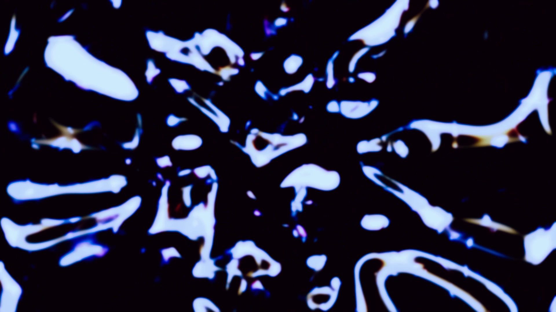 Organic Pulse Pattern - Abstract Effect Loop — Free Stock Footage Archive