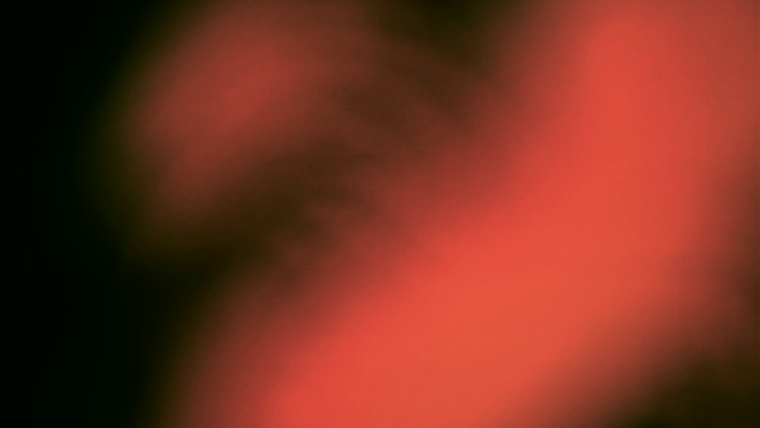 Free Stock Footage Archive — Creative Commons Stock Footage