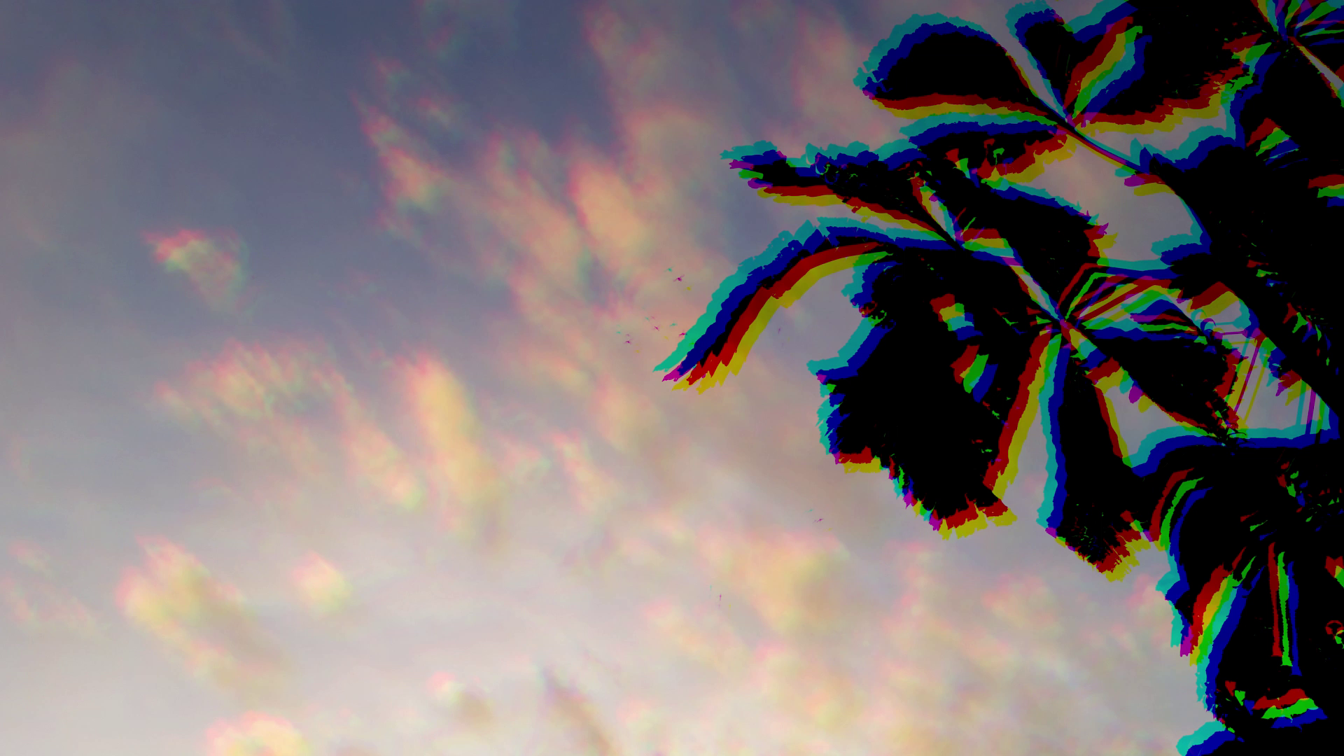 Glitch Plant - RGB Split Effect Loop — Free Stock Footage Archive