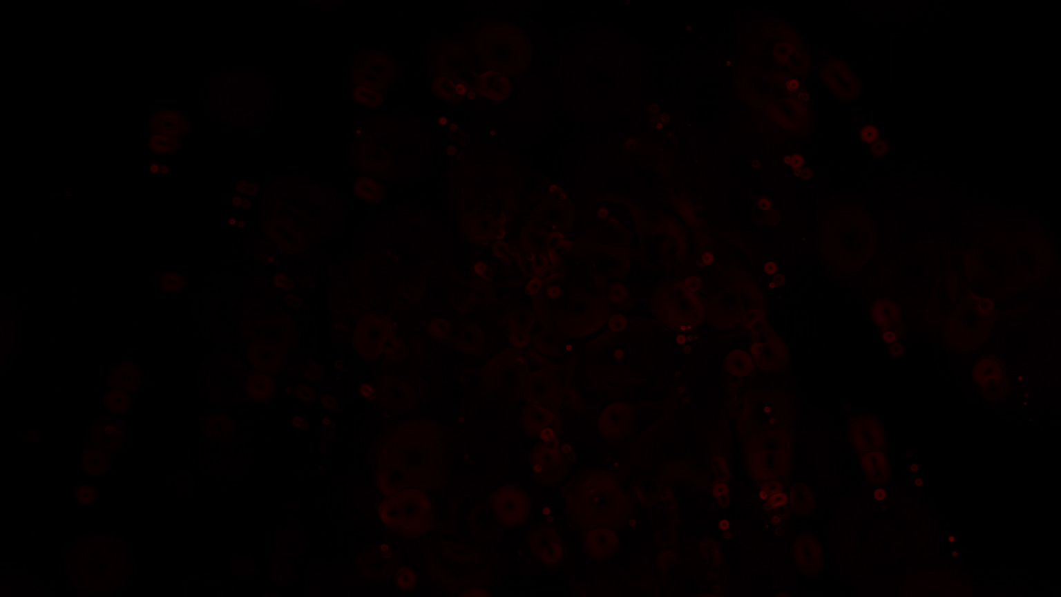 Horror Archive — Free Stock Footage Archive